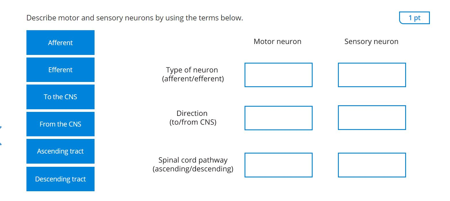 Solved Reflexes What is the order of the steps involved in a | Chegg.com