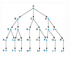 Solved Consider the tree given below in this question. | Chegg.com