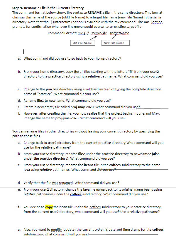 Solved Step 9. Rename a File in the Current Directory The | Chegg.com