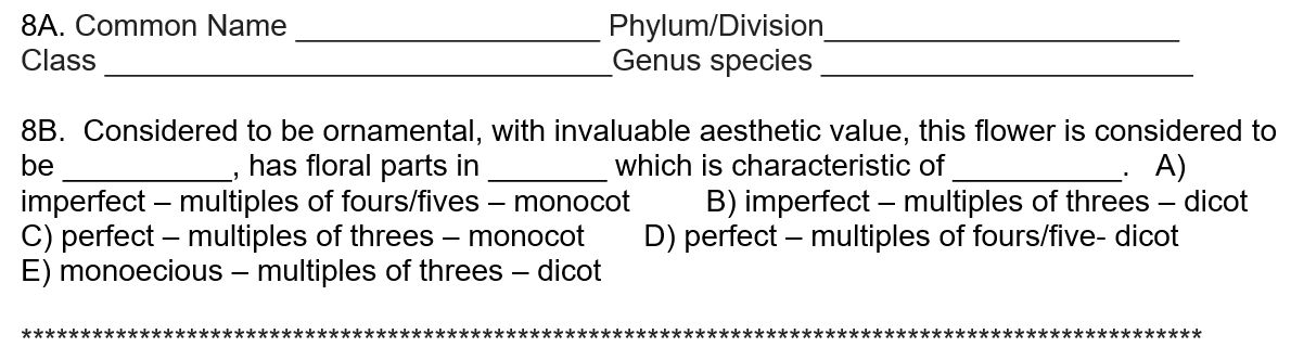 Solved Paragraph #8 #9 #10 Lays Lays POPPABLES Lays Kettle | Chegg.com