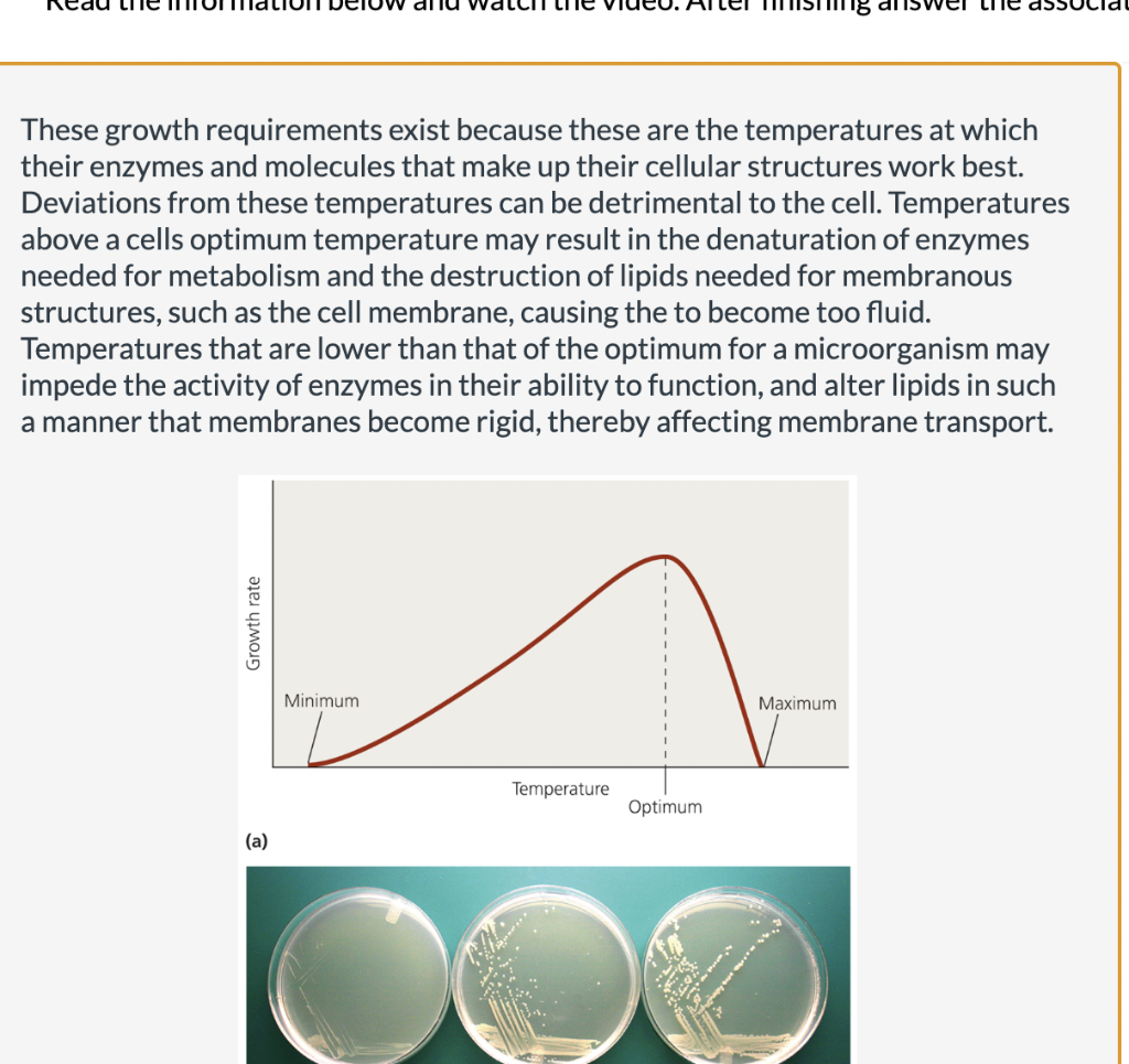 Solved Escherichia coli growth at 5 These growth | Chegg.com
