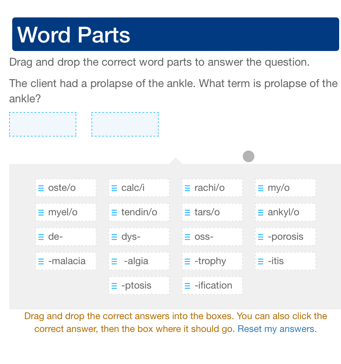 Solved Drag and drop the correct word parts to answer the | Chegg.com