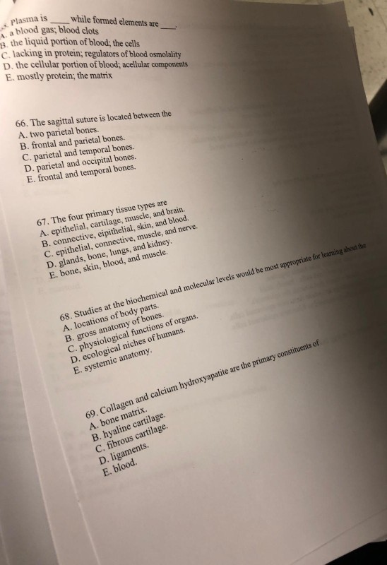 Solved plasma is while formed elements are a blood gas; | Chegg.com