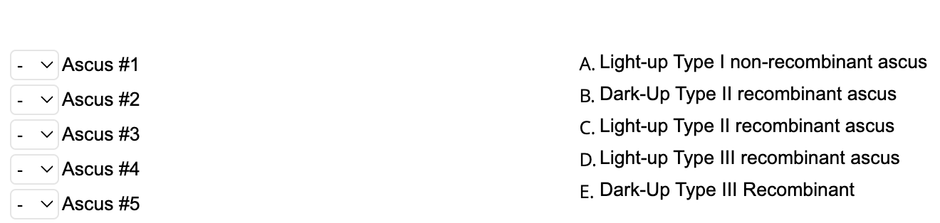 Solved Please match the numbered asci below with their | Chegg.com