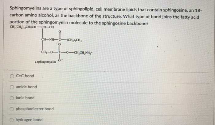 Sphingosine Backbone