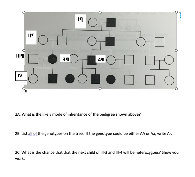 Solved Complete The Following Questions Using Your Textbook
