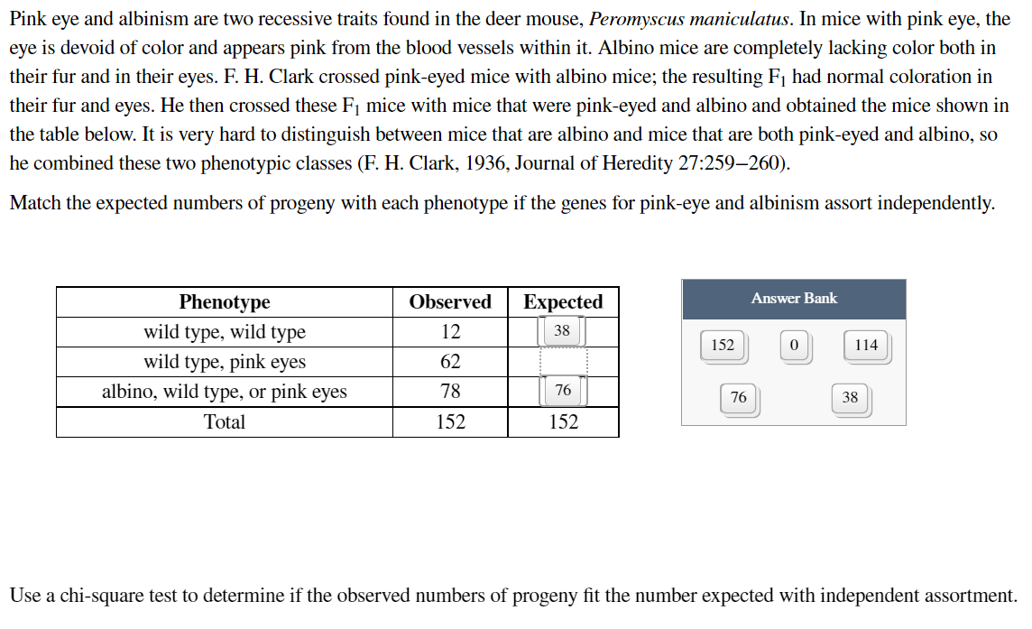 Solved Pink eye and albinism are two recessive traits found | Chegg.com