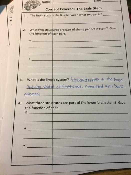 Solved The brain stem is the link between what two parts? | Chegg.com