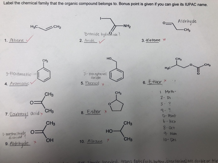 Solved label chemical family that organic compound belongs | Chegg.com