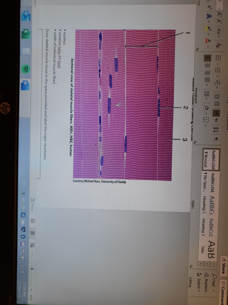 Solved AL A A Aa Po E , * A-DAE Font AaBbccd AaBbCcDd AaBb C | Chegg.com