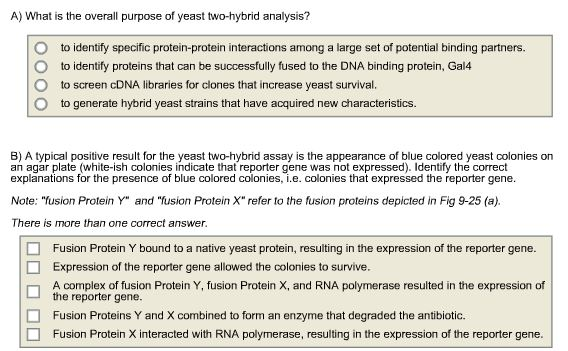 Solved A What Is The Overall Purpose Of Yeast Two hybrid Chegg solved-a-what-is-the-overall-purpose-of-yeast-two-hybrid-chegg