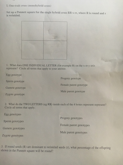 Solved L. One-trait cross (monohybrid cross) Set up a | Chegg.com