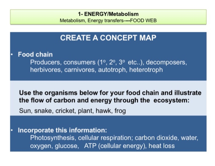 Solved How would you make a concept map with the following? | Chegg.com