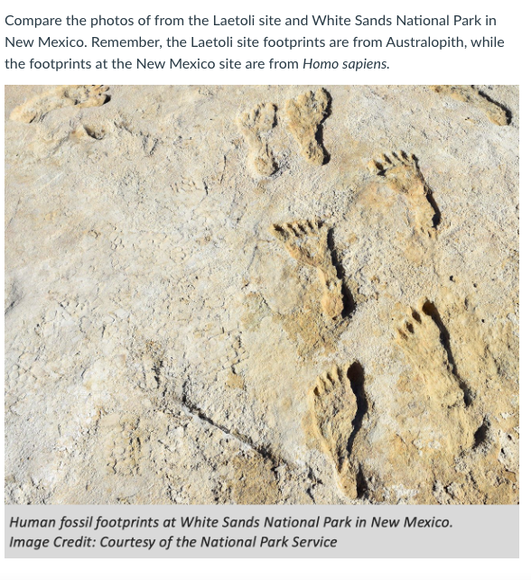 Solved At the start of this lab, we discussed the footprints | Chegg.com