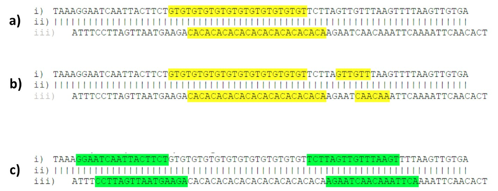 Solved In the DNA sequences shown below, which choice(s) | Chegg.com