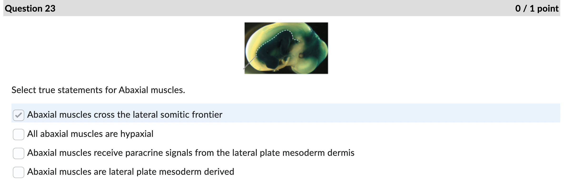 Solved Select true statements for Abaxial muscles. Abaxial | Chegg.com