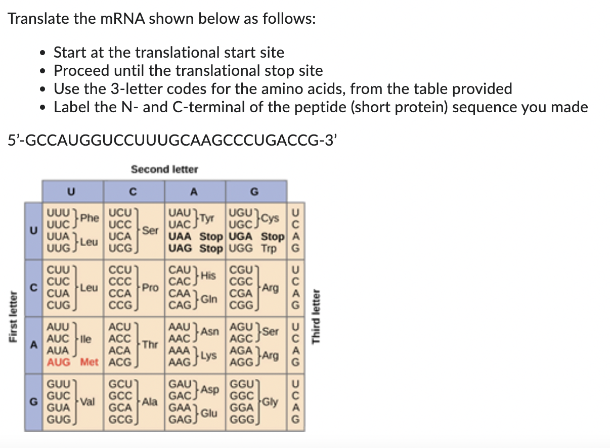 Solved What RNA sequence would be transcribed from the DNA | Chegg.com