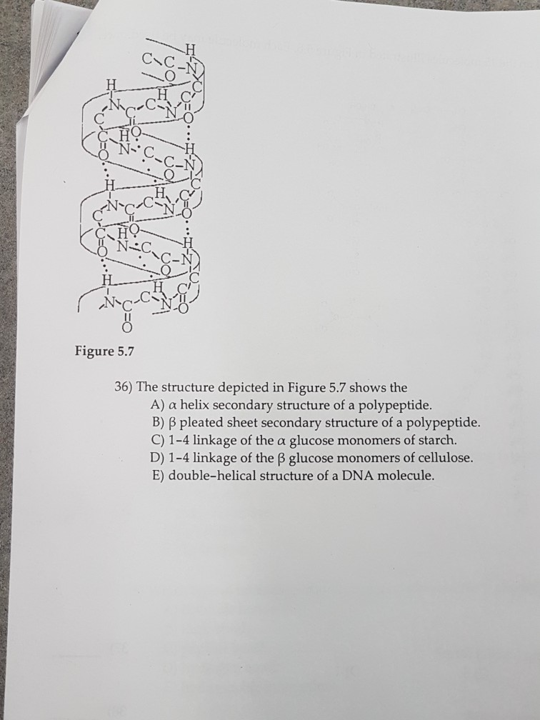 Solved C- Н Figure 5.3 34) The molecule shown in Figure 5.3 | Chegg.com