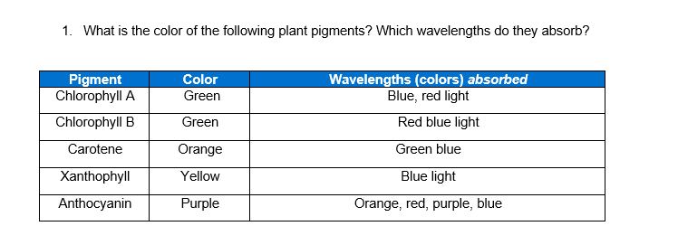 This portion of the Photosynthesis and Plant Pigments | Chegg.com