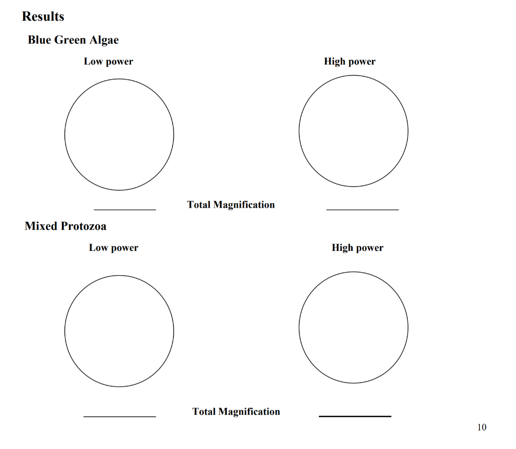 Results Blue Green Algae Low power High power Total | Chegg.com
