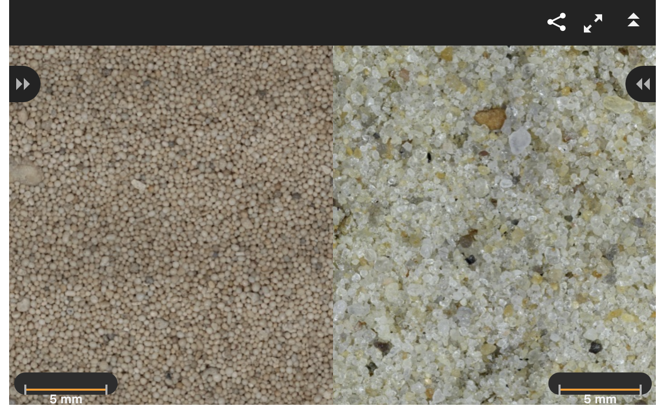 Solved Examine these sand samples. Zoom in to determine | Chegg.com