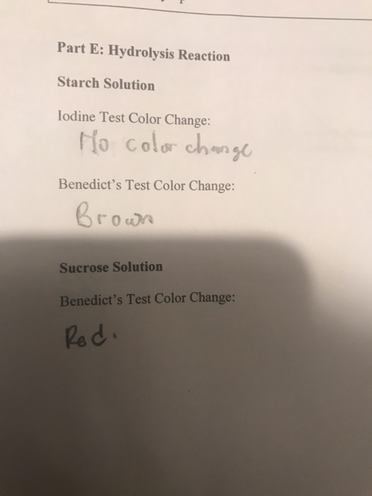 Solved Part E: Hydrolysis Reaction 11. Explain the test | Chegg.com