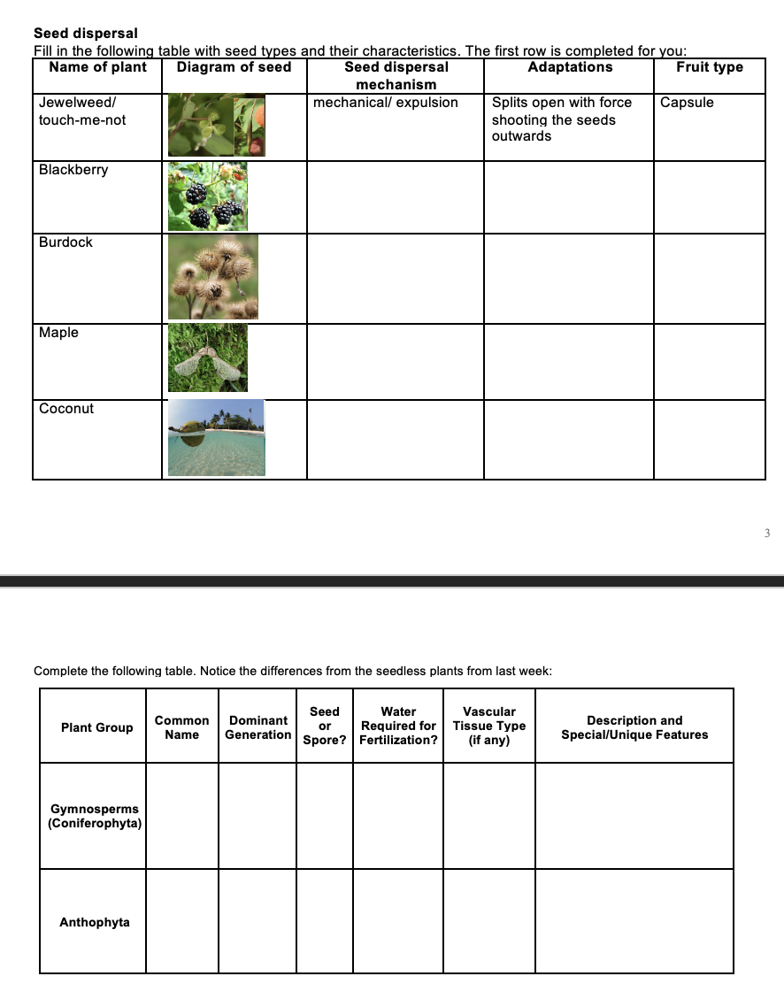 Solved Seed dispersal Fill in the following table with seed | Chegg.com