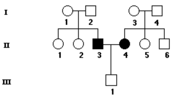 Solved The pedigree shown depicts the inheritance of a | Chegg.com