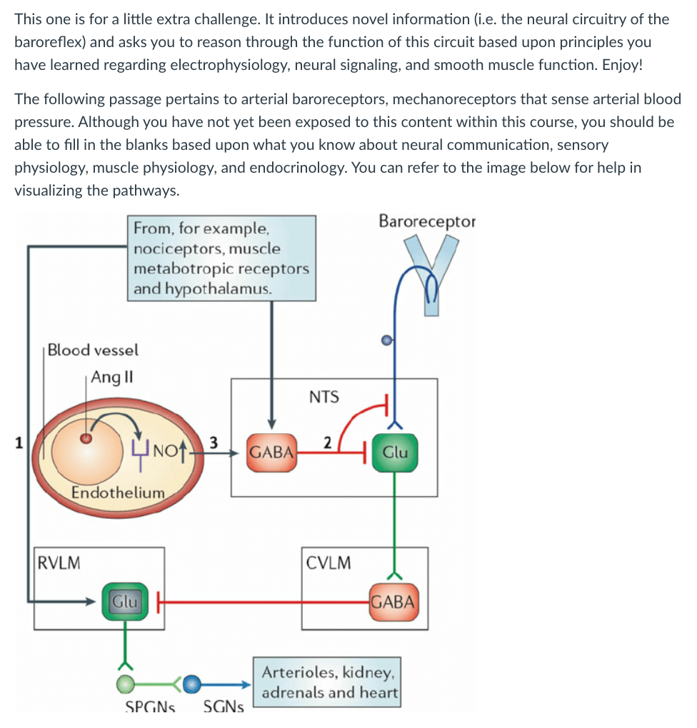 Solved a. At a given arterial blood pressure, there is a | Chegg.com