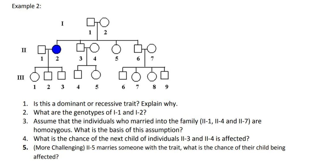 Solved Example 2: 1. Is this a dominant or recessive trait? | Chegg.com