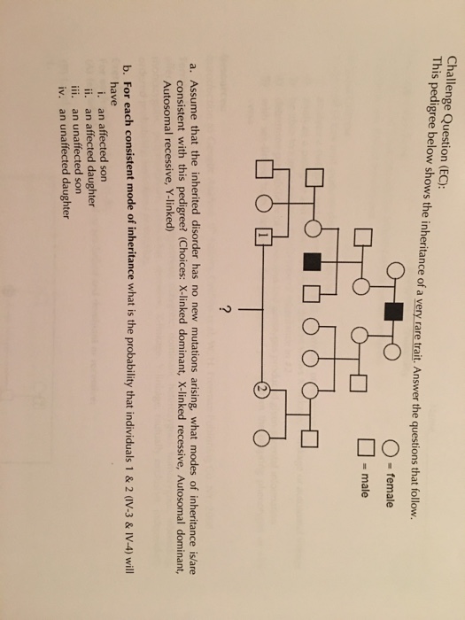Solved This pedigree below shows the inheritance of a very | Chegg.com