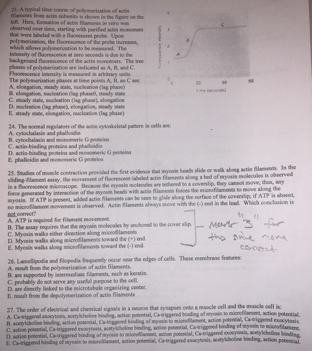 Solved T 23 A Typical Time Course Of Polymerization Of