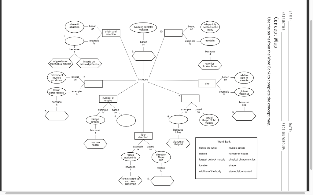 Solved NAME: DATE: INSTRUCTOR: SECTION/GROUP: Concept Map | Chegg.com