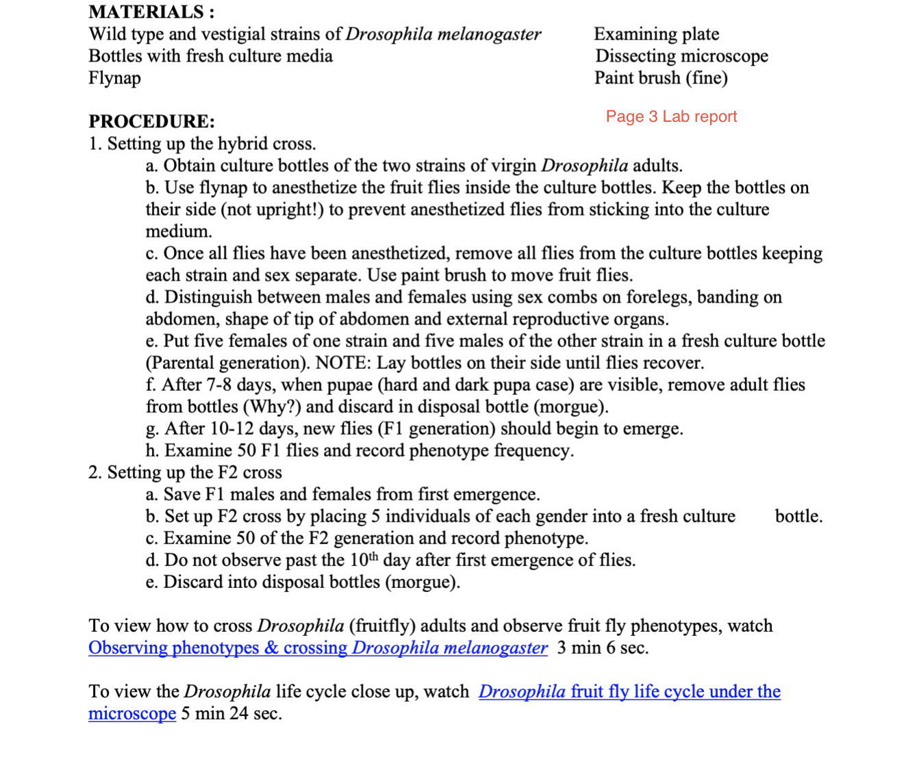 Solved Hi I am writing a lab report and need the methods, | Chegg.com