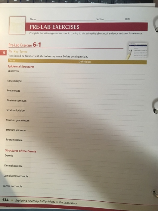 Solved Section Date Name PRE-LAB EXERCISES Complete the | Chegg.com