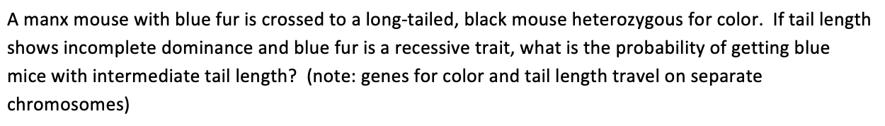 Solved A manx mouse with blue fur is crossed to a | Chegg.com