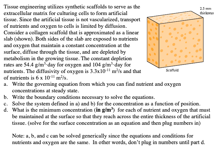 Solved Tissue engineering utilizes synthetic scaffolds to | Chegg.com