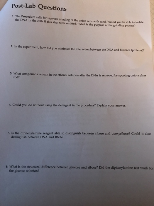 Solved Post-Lab Questions 1. The Procedure calls f or | Chegg.com