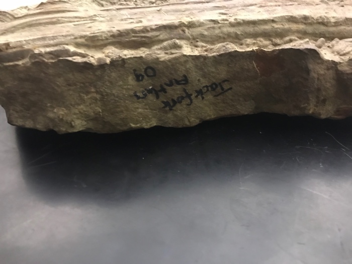 Solved There are 3 turbidite samples, jackfork 05, jackfork | Chegg.com