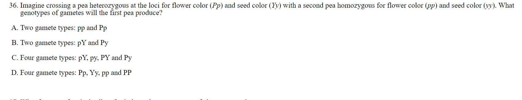 Solved 36. Imagine crossing a pea heterozygous at the loci | Chegg.com