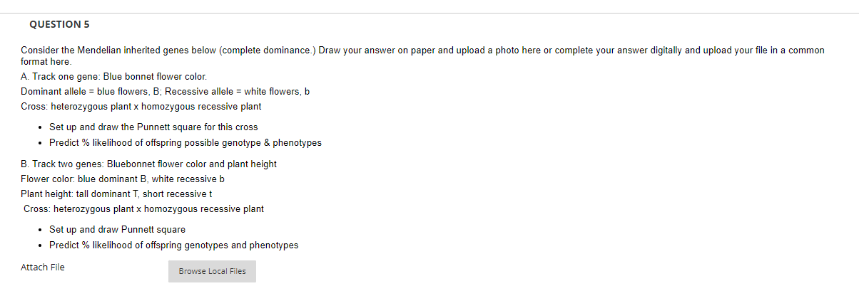 Solved format here. A. Track one gene: Blue bonnet flower | Chegg.com