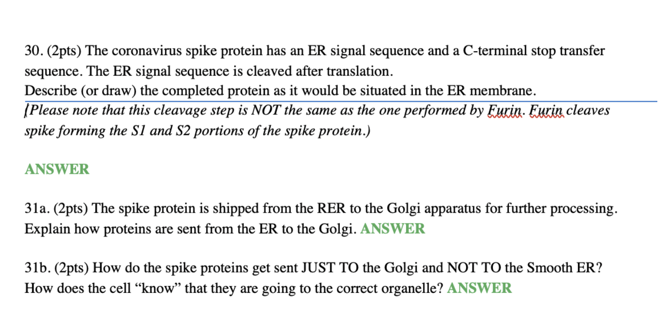Solved 30. (2pts) The coronavirus spike protein has an ER | Chegg.com