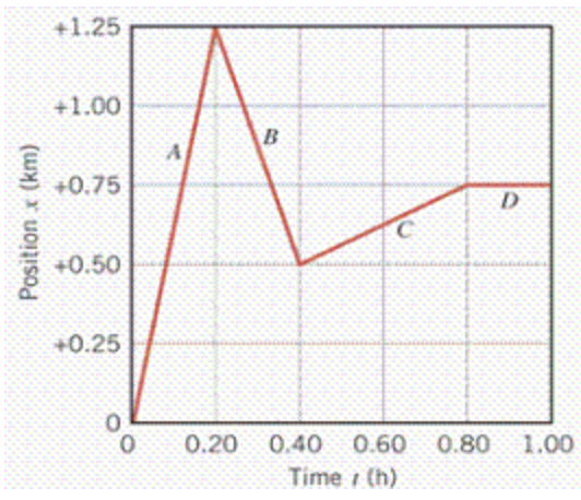 Solved The movement of a person who exercises is represented | Chegg.com