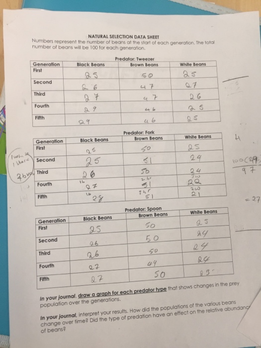 Solved NATURAL SELECTION DATA SHEET Numbers represent the | Chegg.com