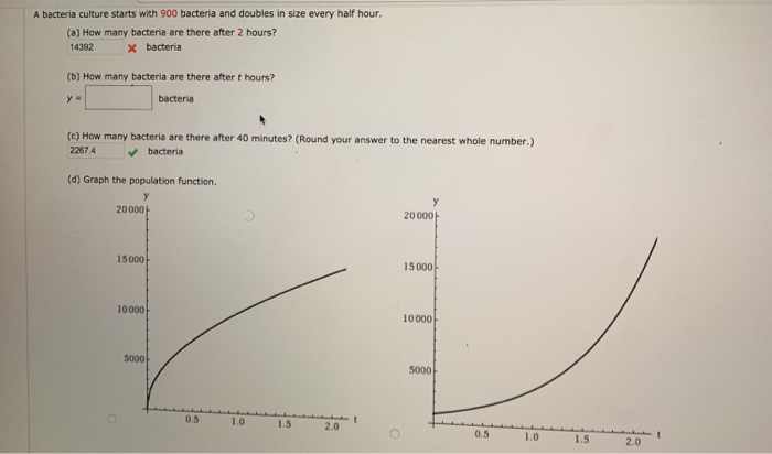Solved A Bacteria Culture Starts With 900 Bacteria And