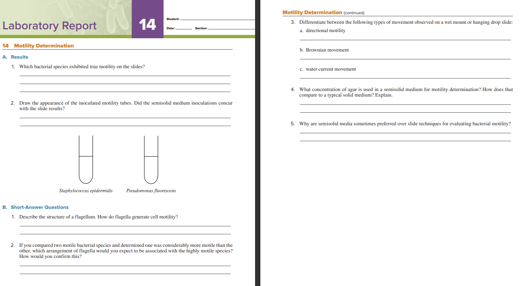 Solved Laboratory Report 14 Student: Date: Section: 3. | Chegg.com