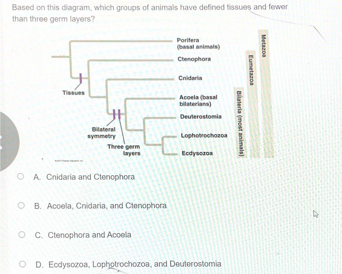 Solved Use the diagram to answer the question. Based on the | Chegg.com