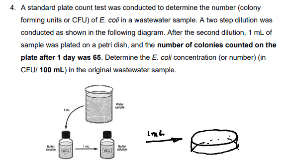 Solved 4. A standard plate count test was conducted to | Chegg.com