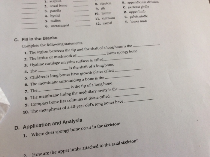 Solved scapula 2. coxal bone s. cdavicle appendicular | Chegg.com