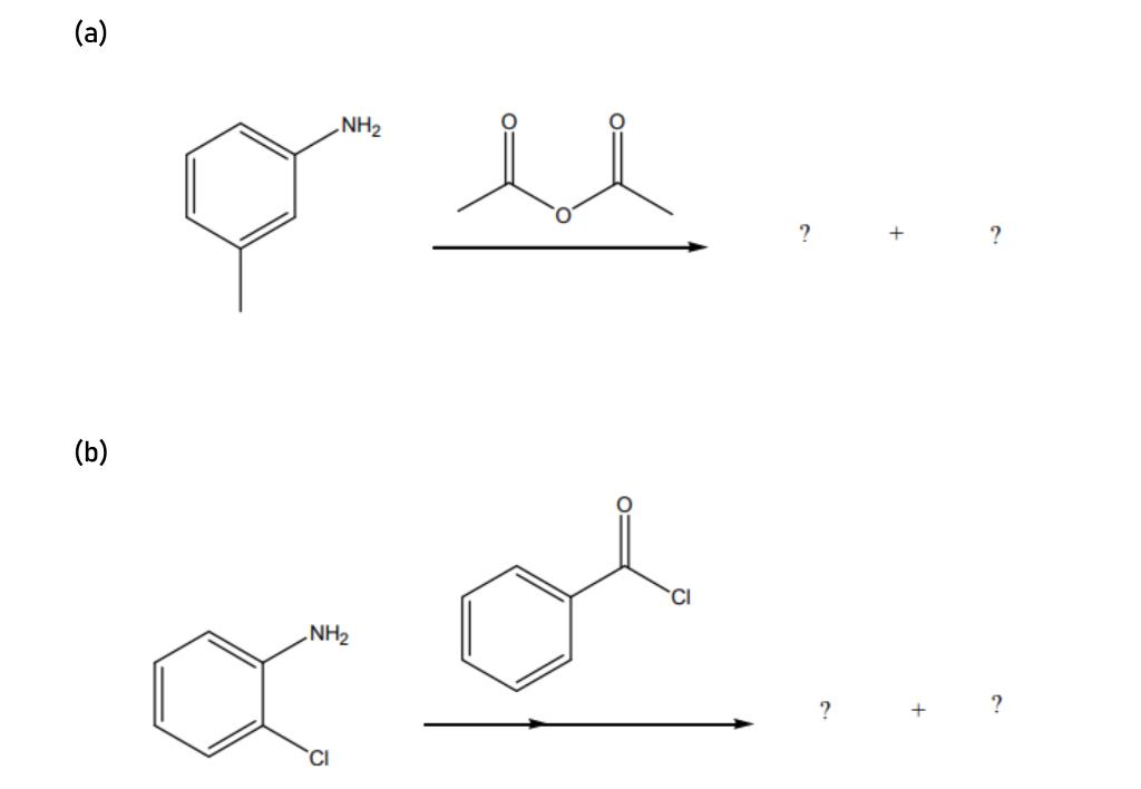 Solved (a) NH2 o u ? ? (b) yo so NH2 ? СІ (a) NH2 o u ? ? | Chegg.com